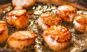 Gallery - Wilson's Seafood